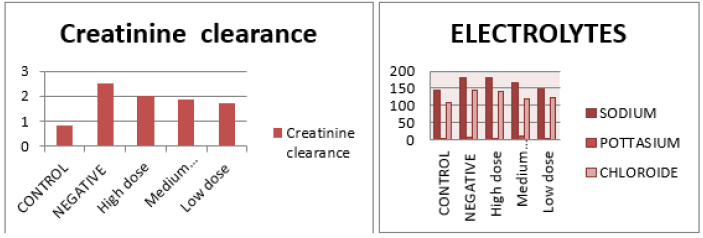 Nephroprotective Effect of Aqueous Extract of Anisoon (Pimpinella ...