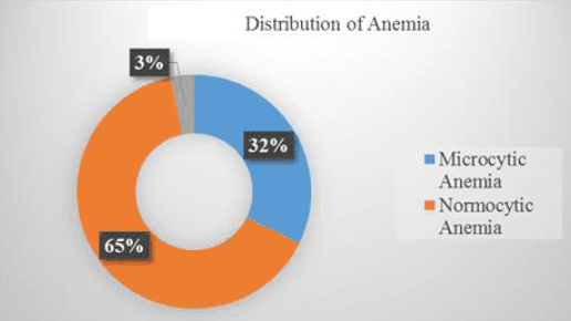 Anemia in Geriatric Patients with Cardiovascular Diseases; A Hospital ...