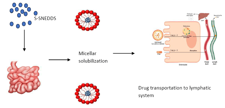 Solid Self Nano Emulsifying Drug Delivery System (S-SNEDDS): A ...